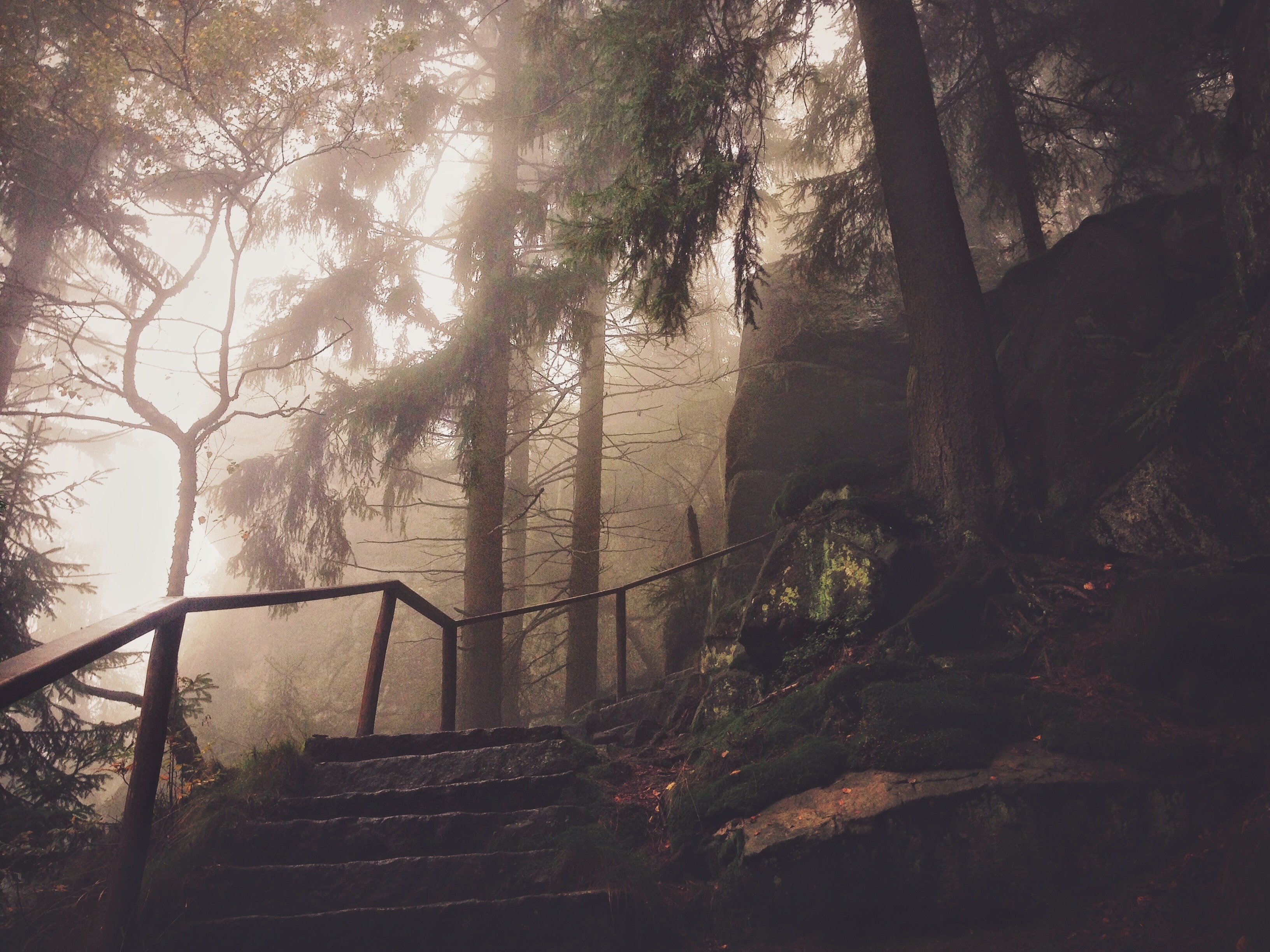 Journey to the Imaginal Realm with Becca Tarnas - Revelore Press